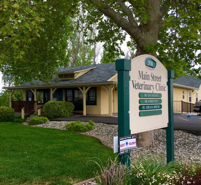 About Us - Main Street Veterinary Clinic | Main Street Veterinary Clinic