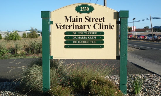 home2 - Main Street Veterinary Clinic | Main Street Veterinary Clinic